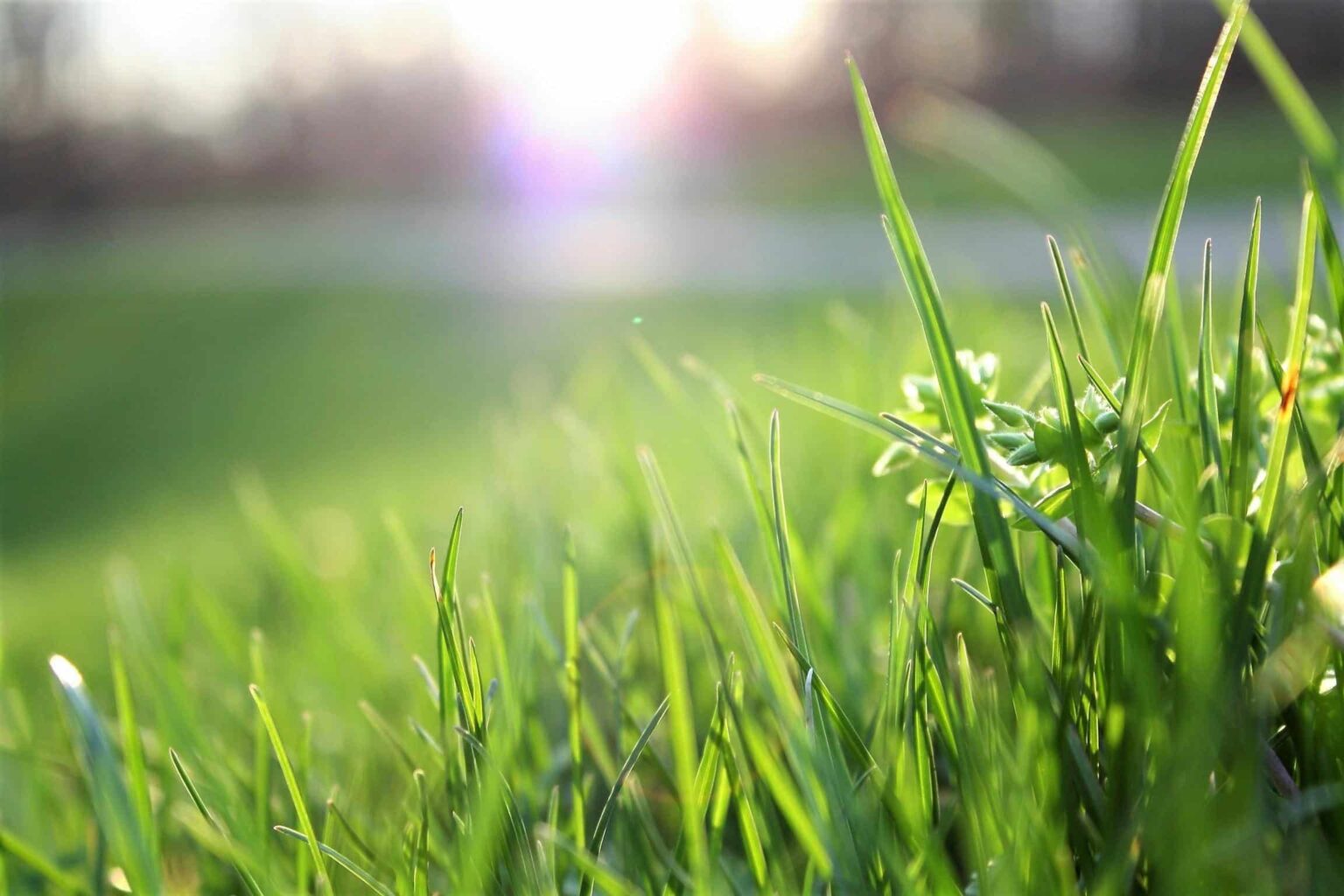 Harmonising ESG and sustainable fund names across the EU – New ESMA ...